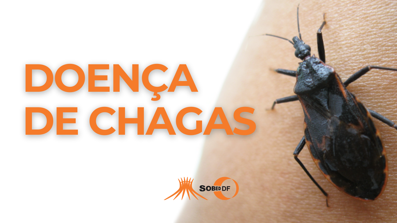 116 anos da descoberta da doença de chagas: avanços e desafios na luta ...
